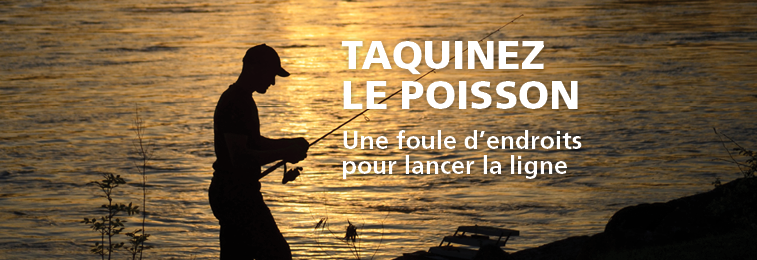 Ville de Montréal - Réseau des grands parcs